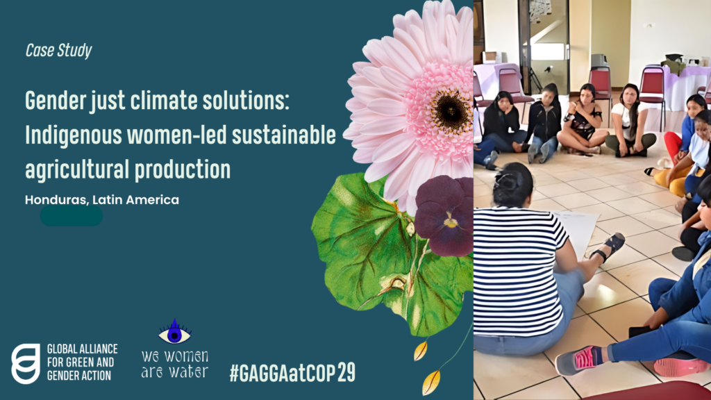 Gender just climate solution: Lenca Women Reclaiming Their Land Through ...